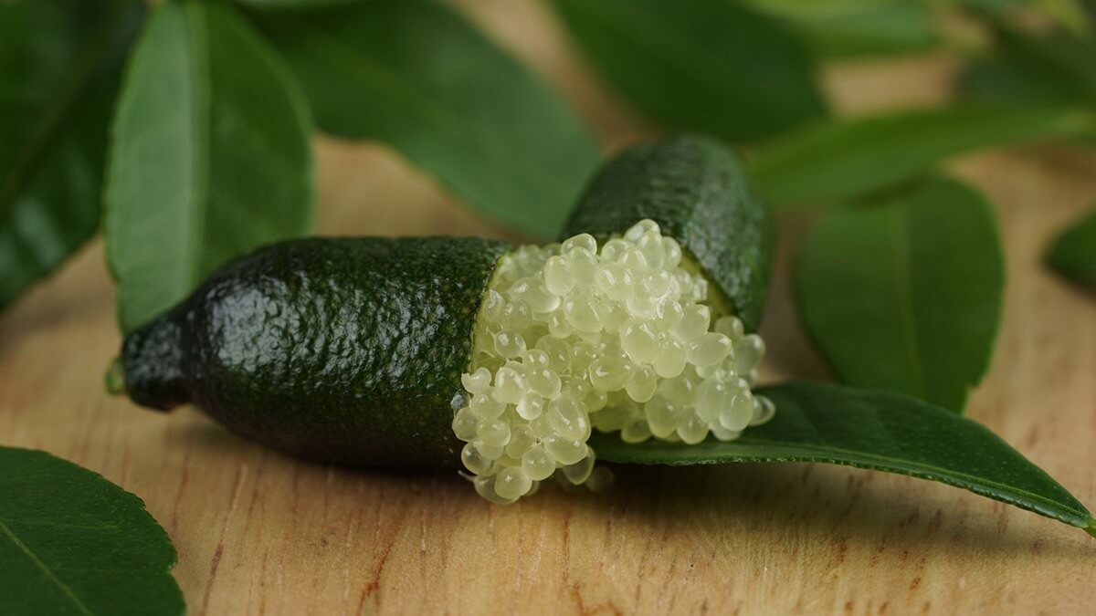 Finger Limes: Description, Taste, Uses, and Recipes - TheWellthieone