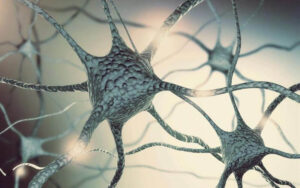 How to Make Structured Water & Why Is This Water SO Healing ...