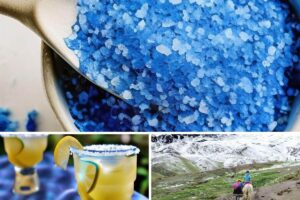 Ready to Join the Craze? Here’s What Makes Natural Blue Salt So Awesome ...