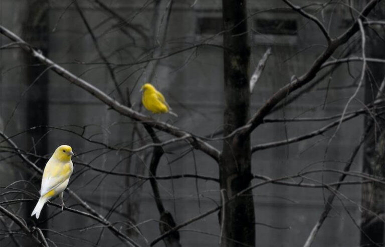 Dr Hazel Parcells – “Is It Safe To Tell the Truth?” Radiation Exposure ...